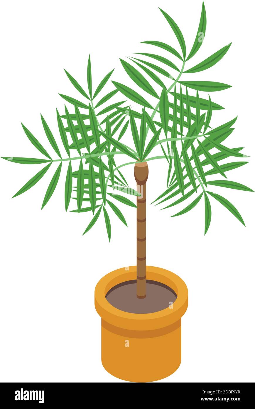Palm tree pot icon. Isometric of palm tree pot vector icon for web ...