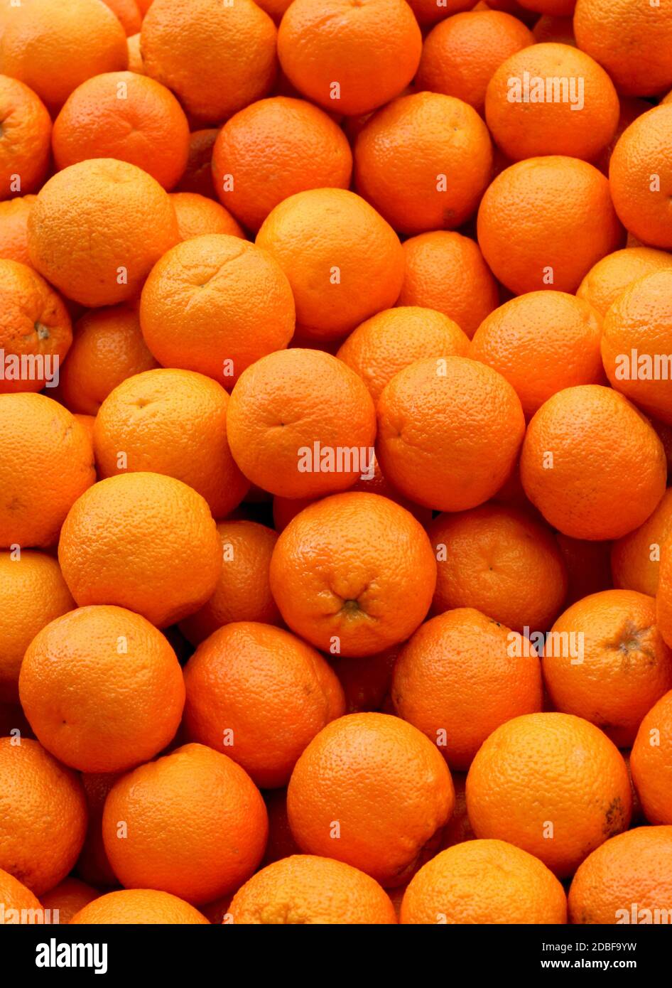 Bunch of fresh and big oranges fruit Stock Photo - Alamy