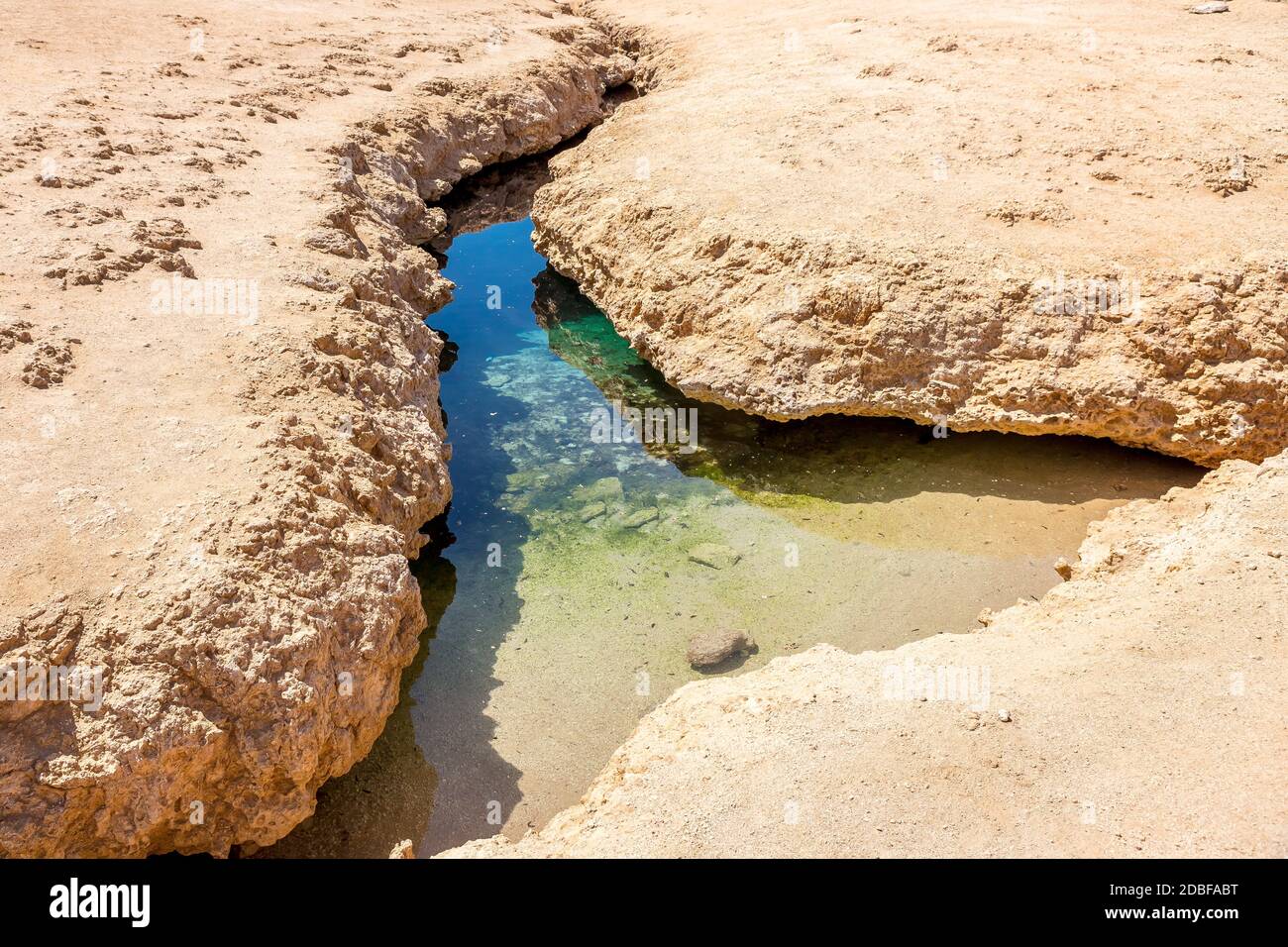 Ras Mohamed National Park in Egypt. Africa Stock Photo - Alamy