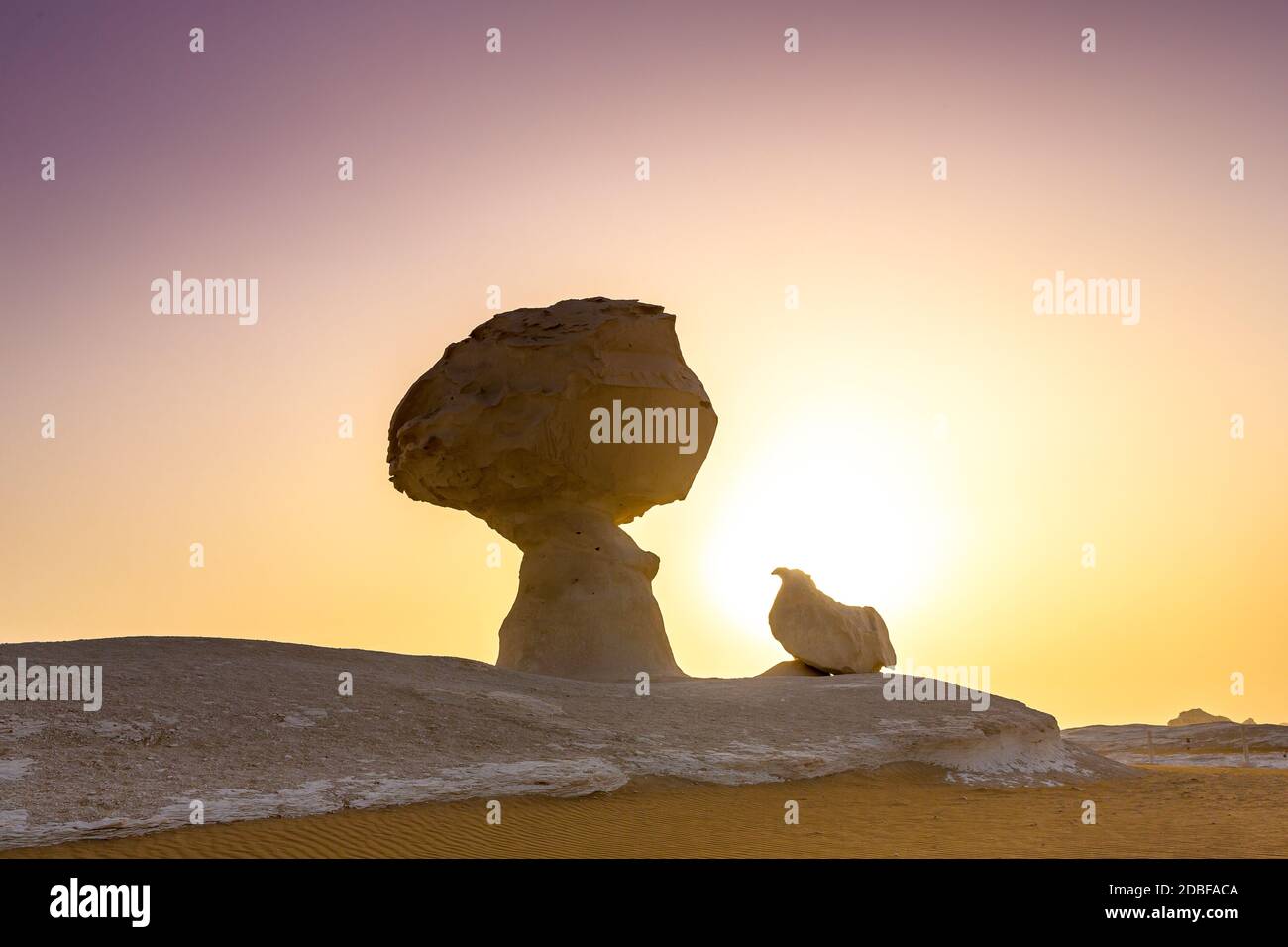 Africa safari park cairo hi-res stock photography and images - Alamy