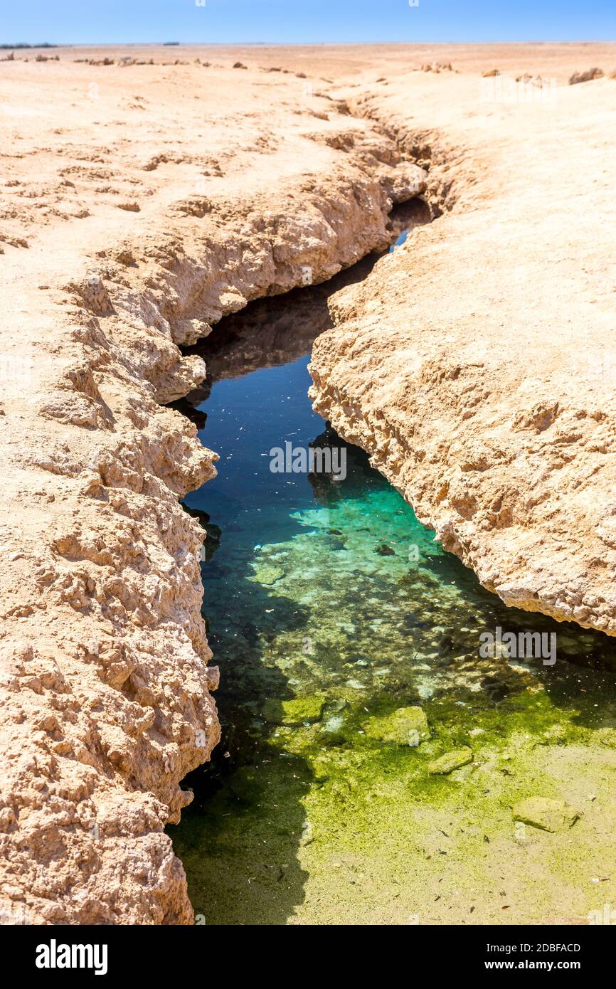 Ras Mohamed National Park in Egypt. Africa Stock Photo - Alamy