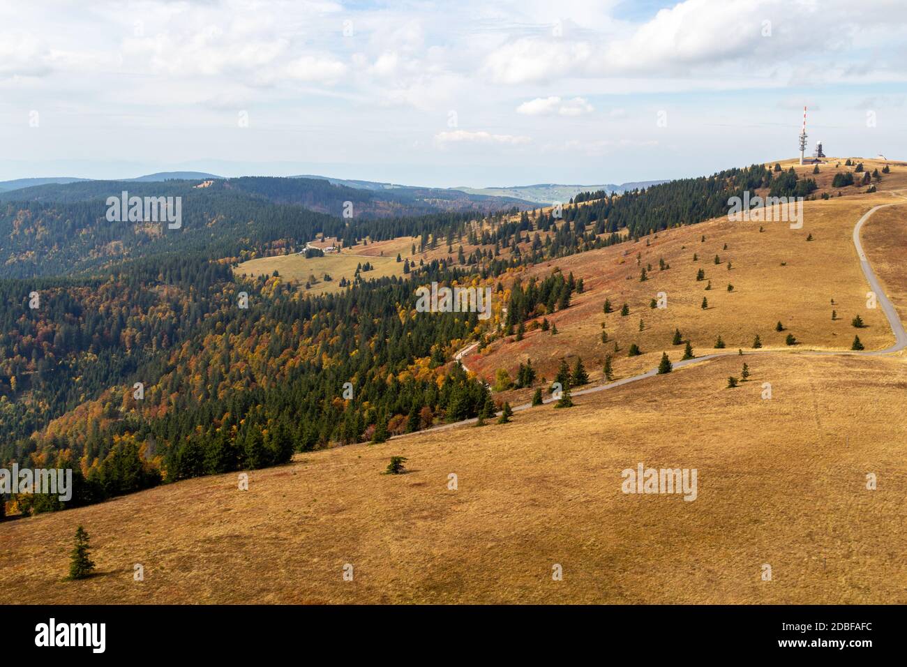Scenic view from Feldberg tower at landscape of Black Forest, Germany ...