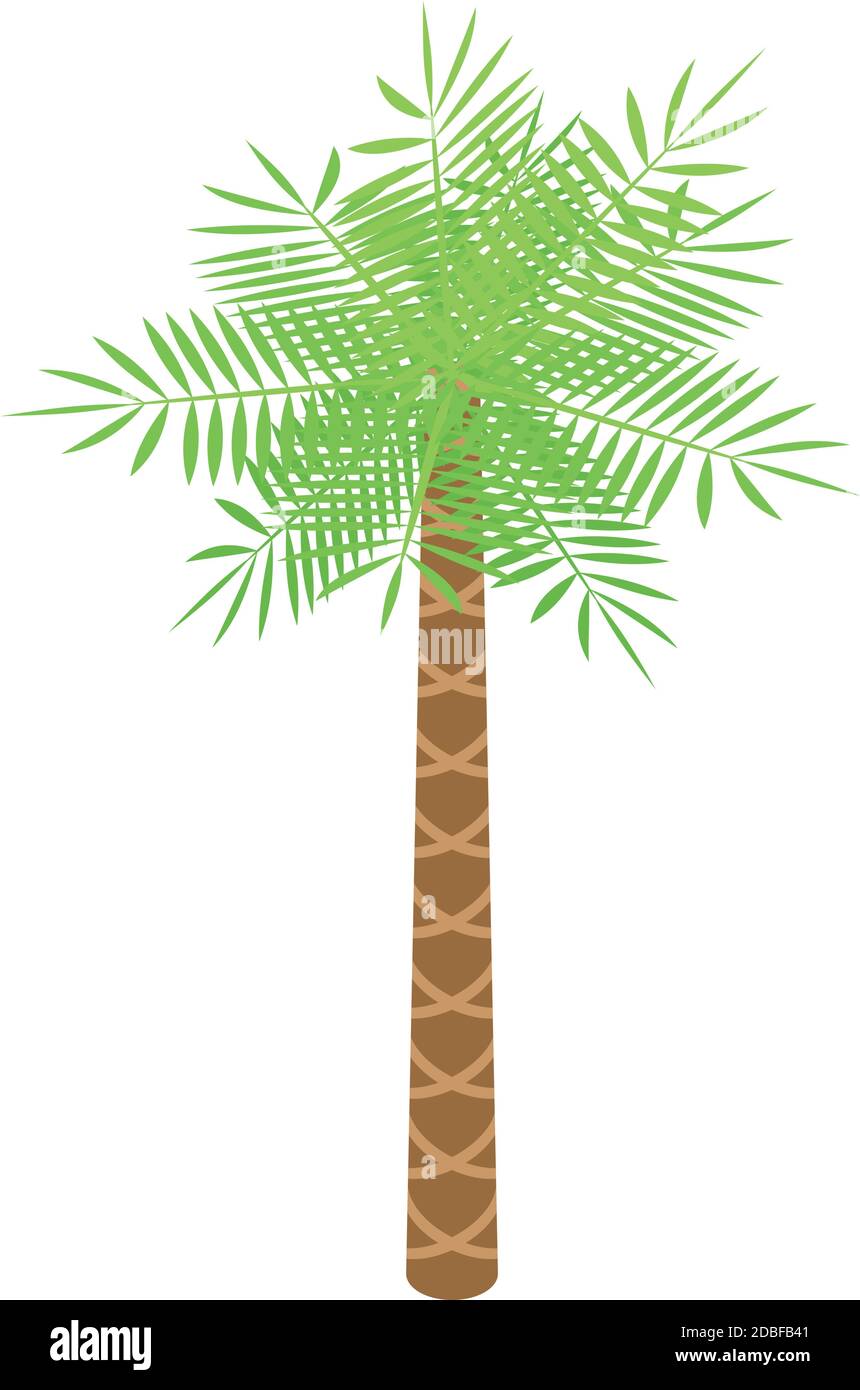 Beach palm tree icon. Isometric of beach palm tree vector icon for web ...
