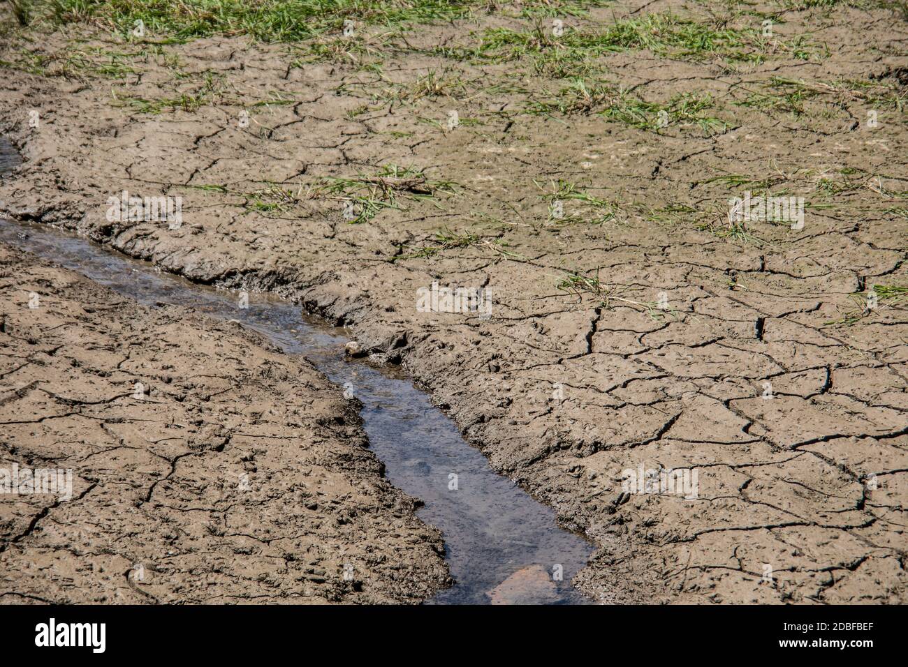 dry earth in summer when it is dry Stock Photo - Alamy