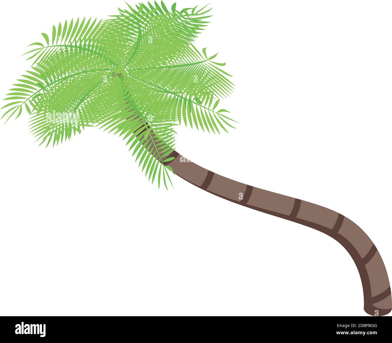 Exotic palm tree icon. Isometric of exotic palm tree vector icon for ...