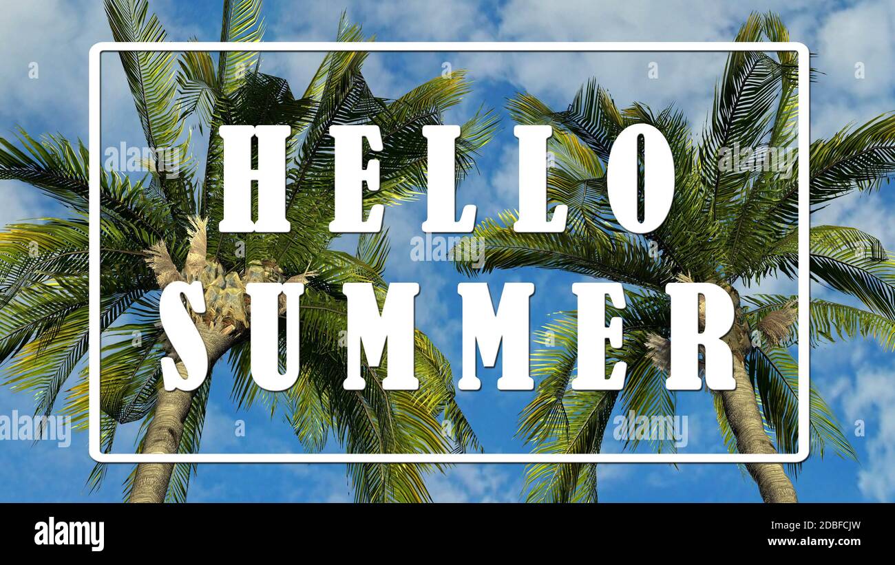 Text - Hello Summer - Palm trees against blue sky background, Tropical ...