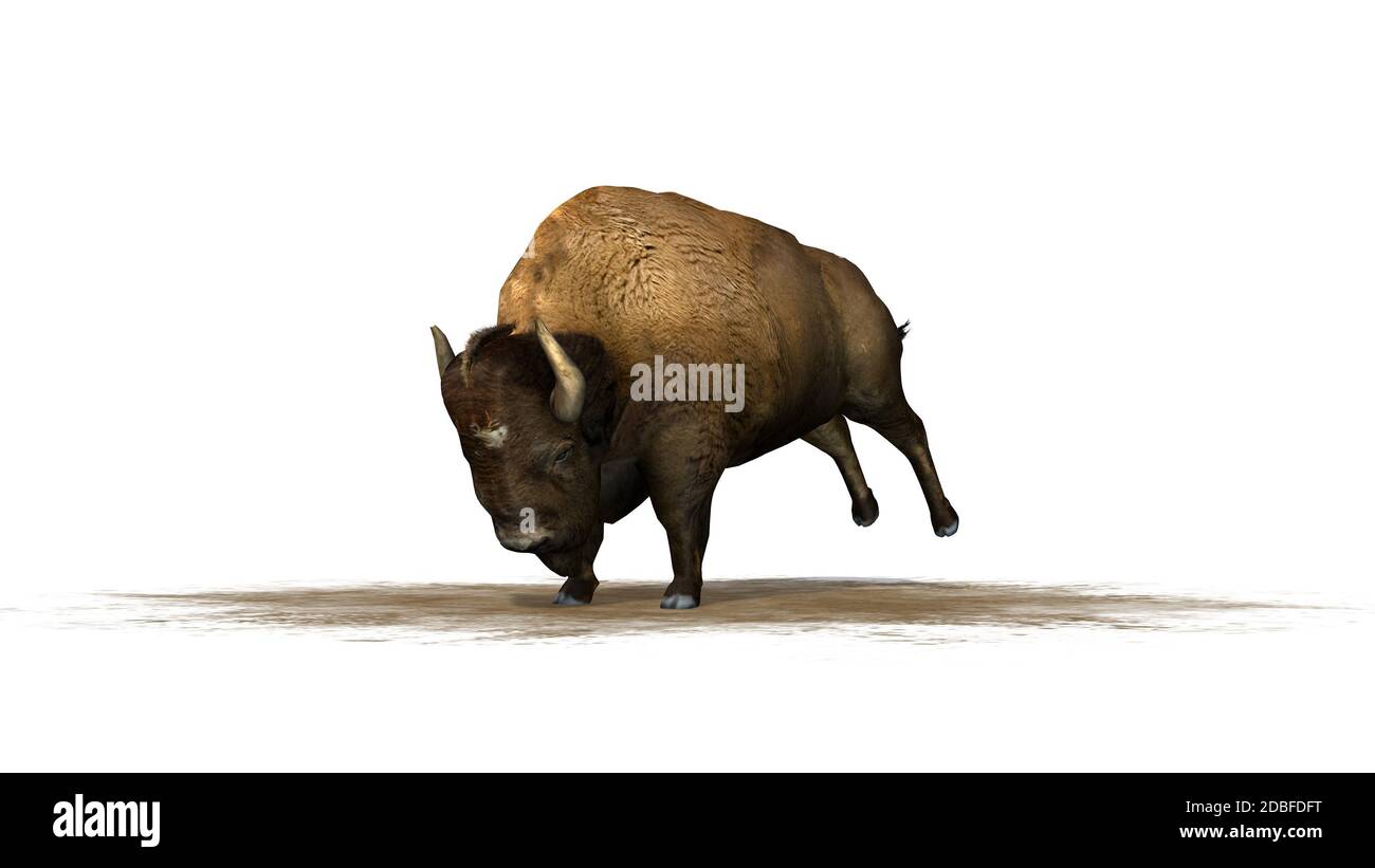 Wildlife area Cut Out Stock Images & Pictures - Alamy