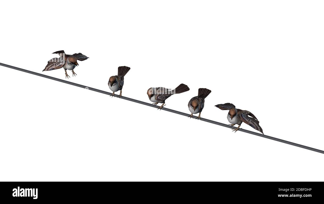 Sparrows fly Cut Out Stock Images & Pictures - Alamy