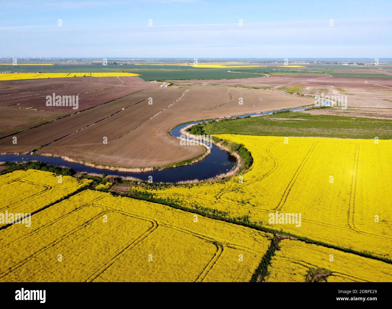 Zulawy wislane hi-res stock photography and images - Alamy