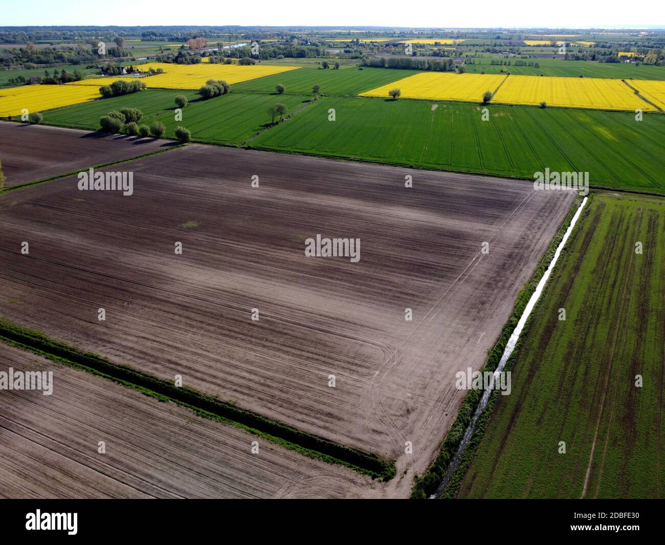 Drainage channels among field on Zulawy Wislane, Poland Stock Photo - Alamy