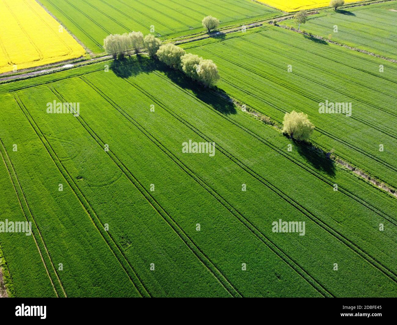 Zulawy wislane hi-res stock photography and images - Alamy