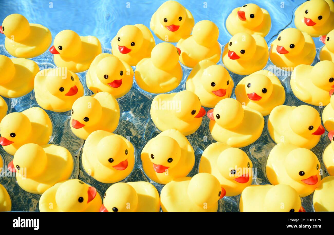 Rubber Ducks In Water