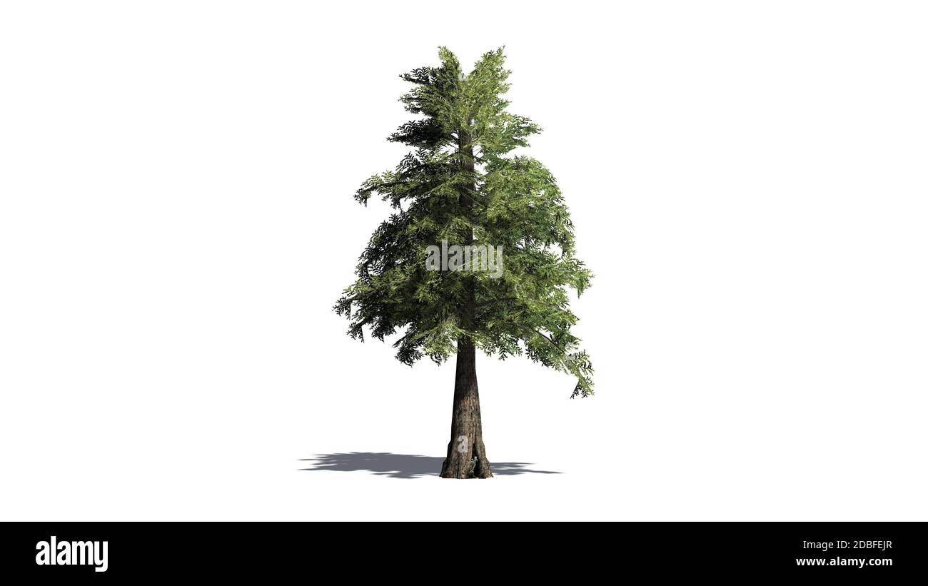 Western pacific Cut Out Stock Images & Pictures - Alamy