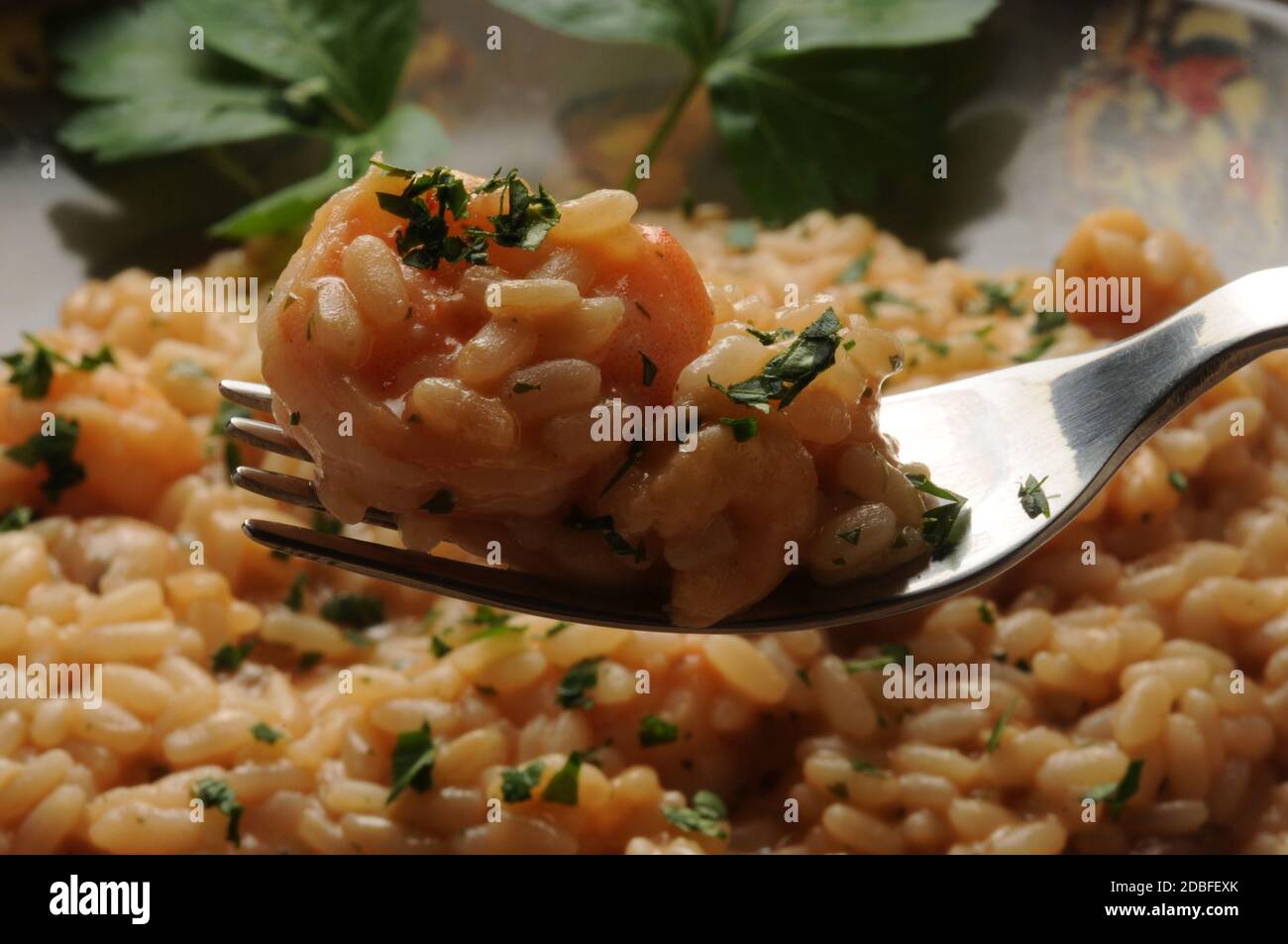 Seafood risotto with prawn on the fork Stock Photo - Alamy