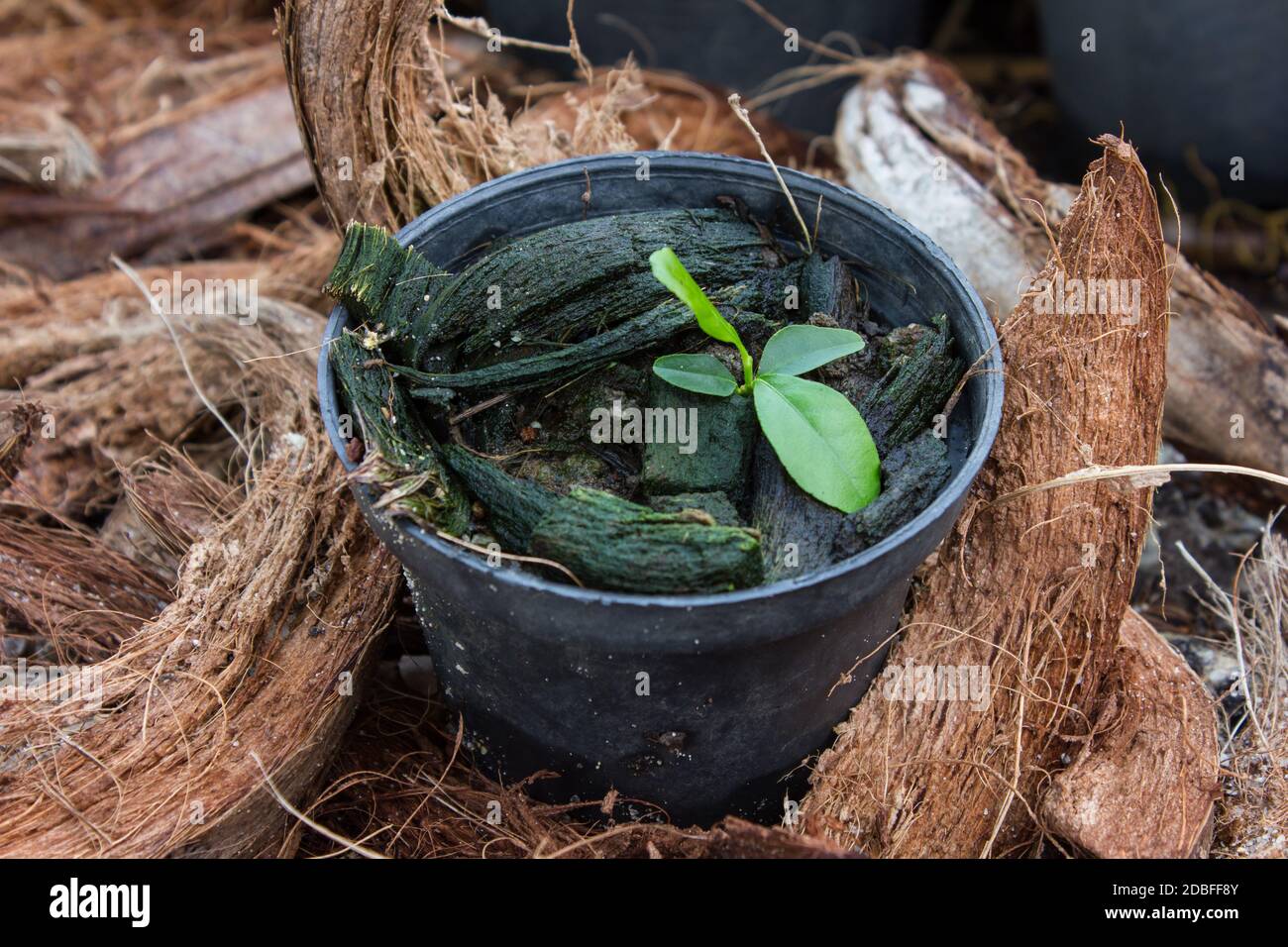 Soil pottery top view hi-res stock photography and images - Alamy