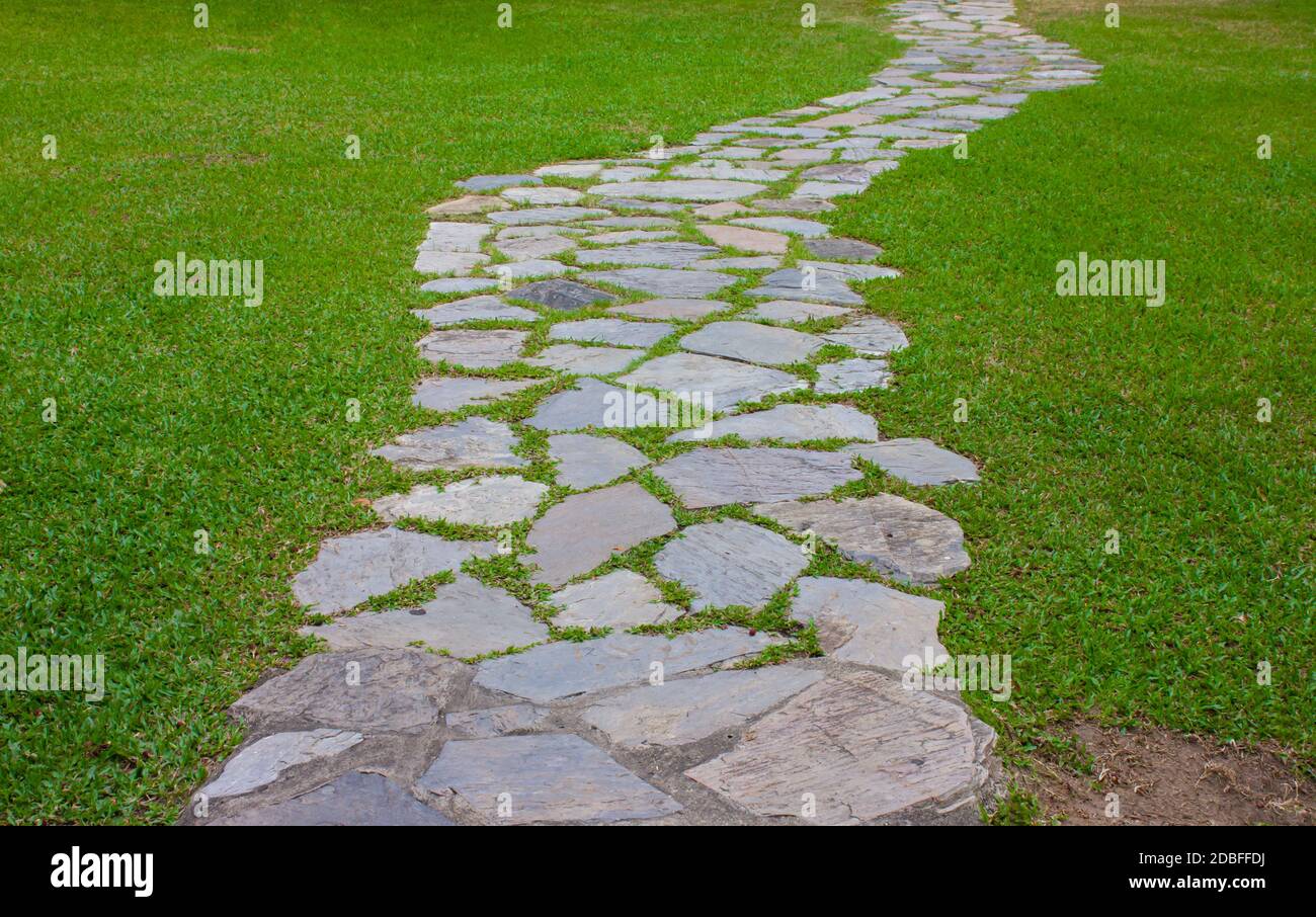 Stone way on green grass Stock Photo - Alamy