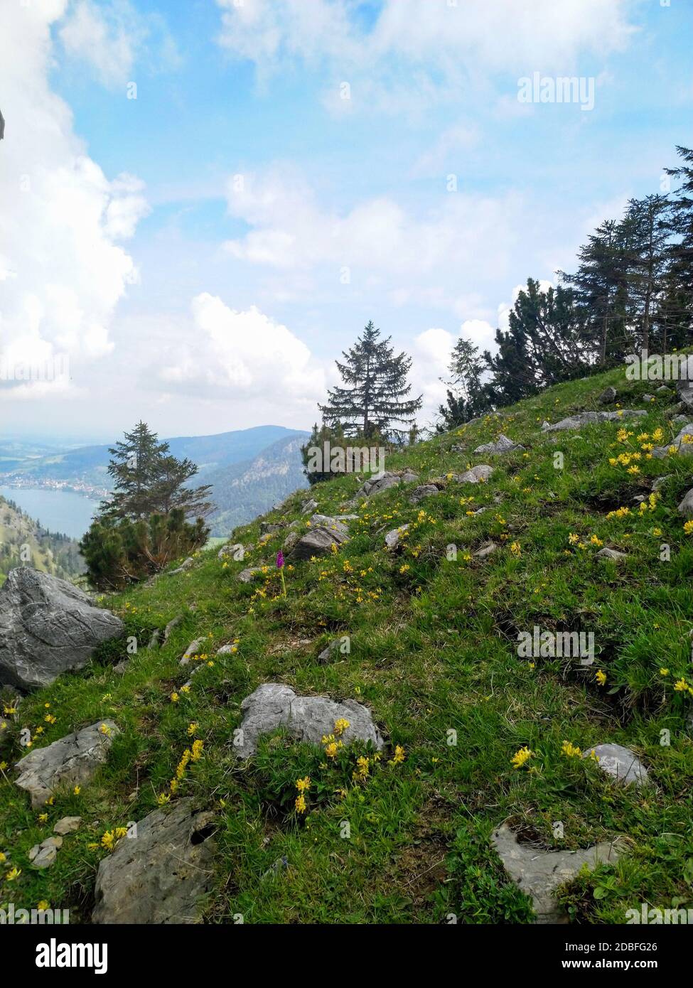 Brecherspitz - a mountain in bavaria Stock Photo - Alamy