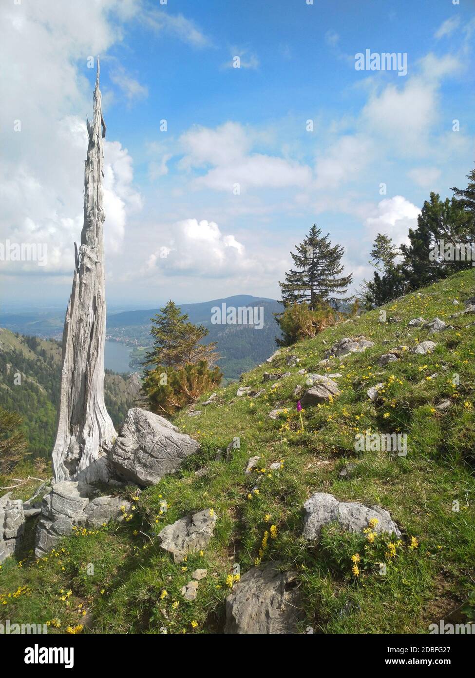 Brecherspitz - a mountain in bavaria Stock Photo - Alamy