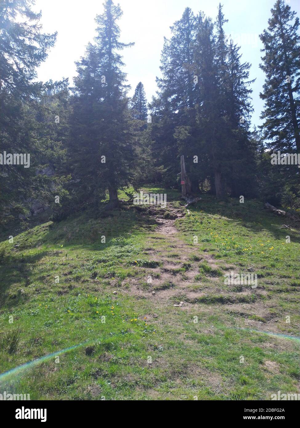 Brecherspitz - a mountain in bavaria Stock Photo - Alamy
