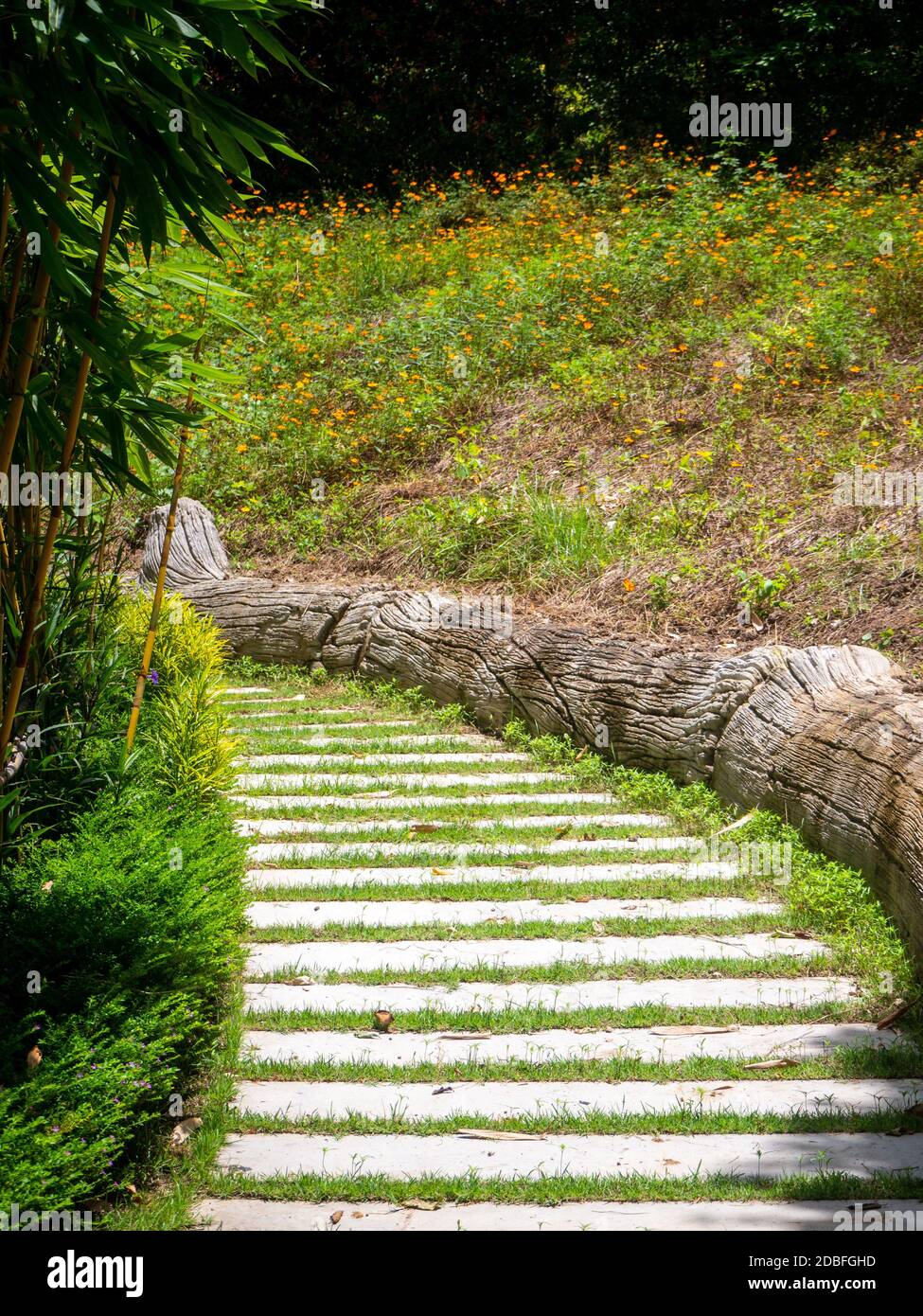 Footpath sunlight winding beautiful hi-res stock photography and images ...