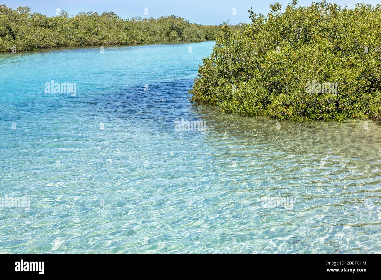 Ras Mohamed National Park in Egypt. Africa Stock Photo - Alamy