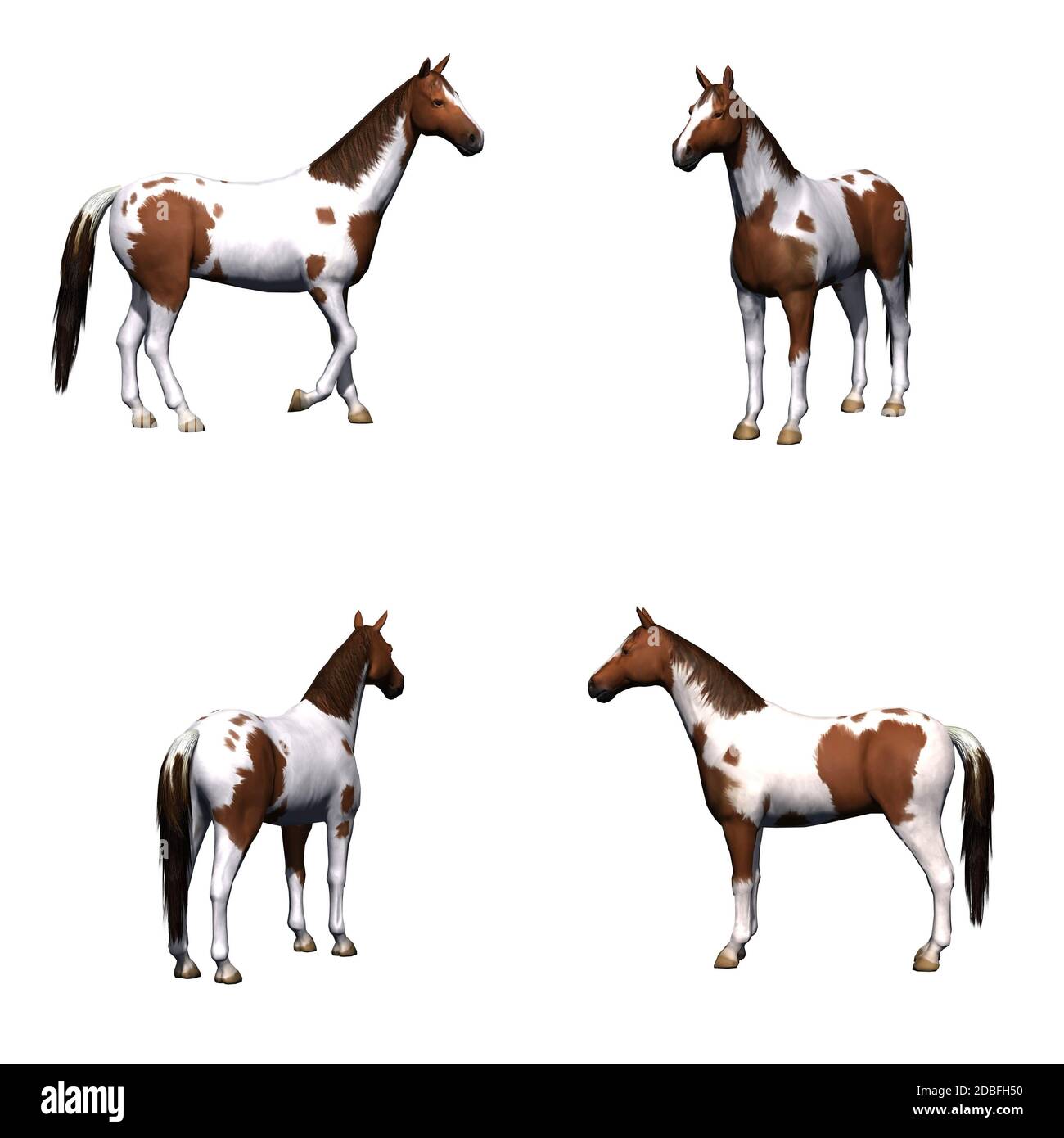 Farm animals horse hi-res stock photography and images - Alamy