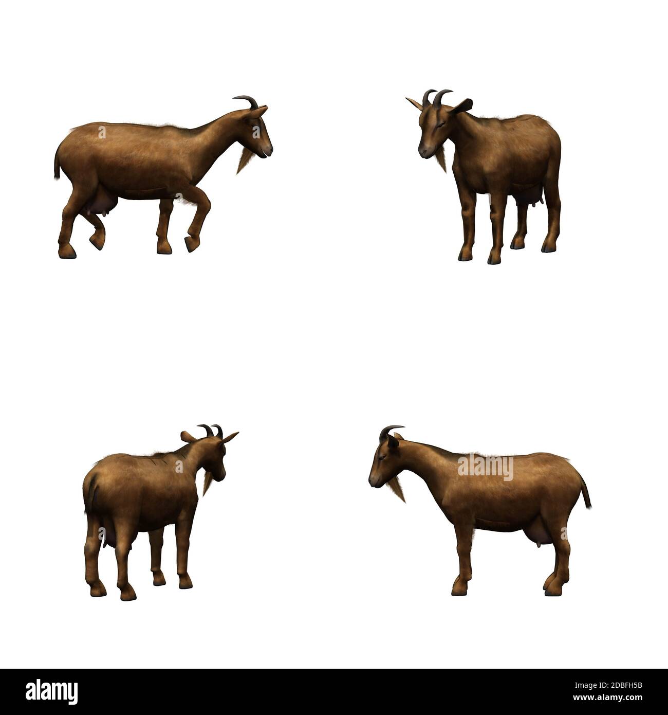 Set of farm animals - goat - isolated on white background Stock Photo ...