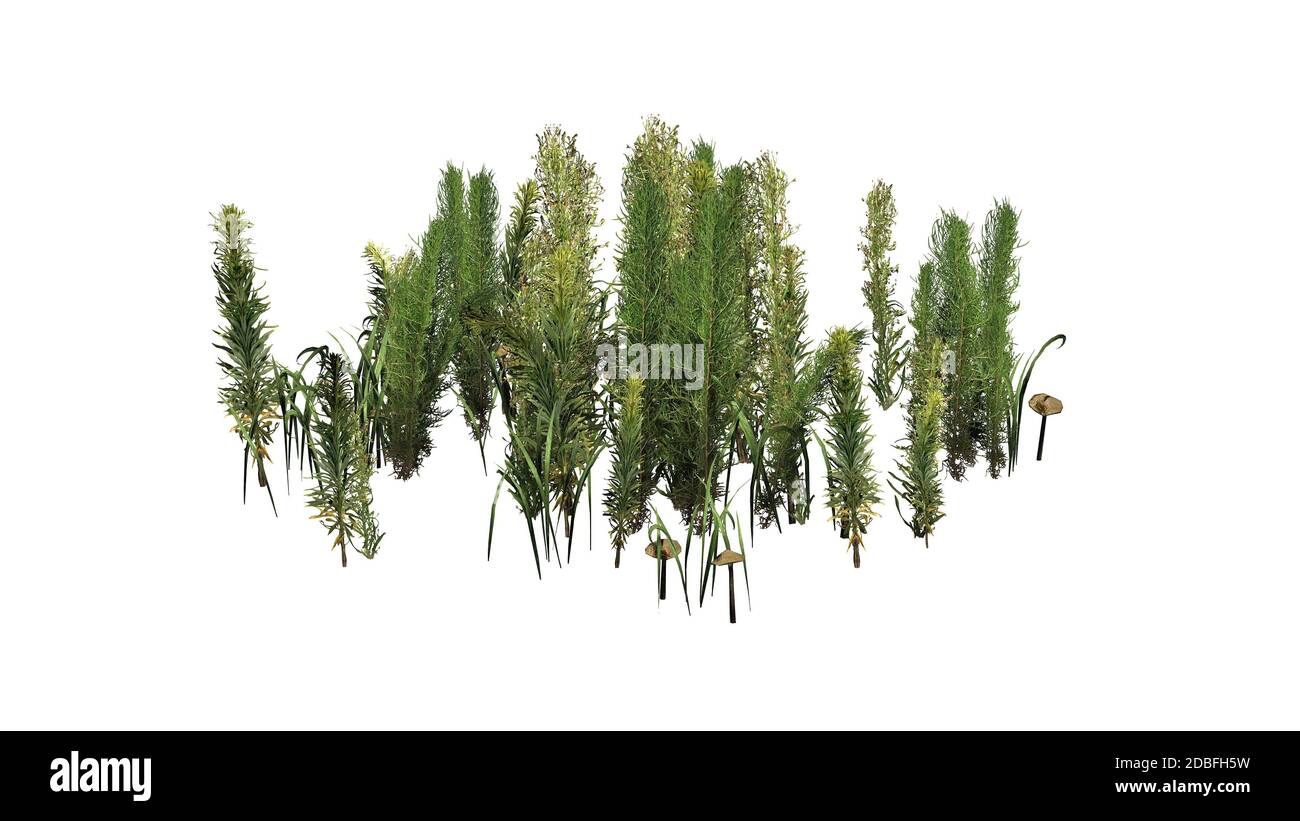 Green textures plants Cut Out Stock Images & Pictures - Alamy