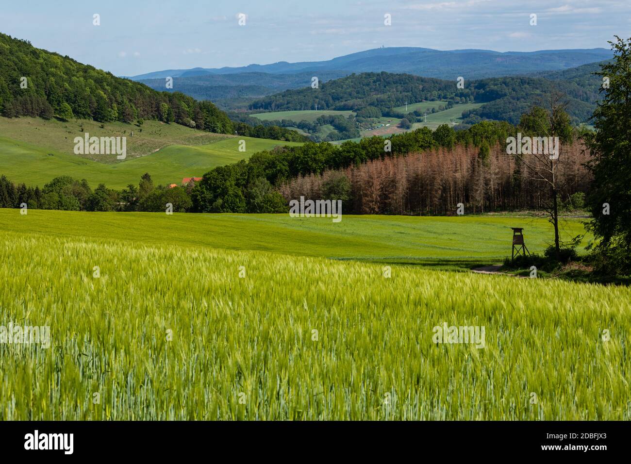The Landscape of the Thuringia Forest in Germany Stock Photo - Alamy