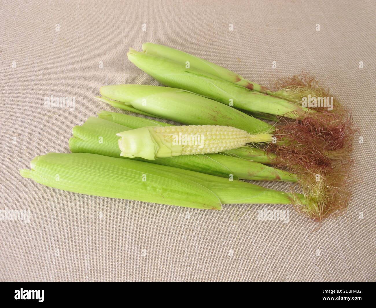 Young corn ears in husk leaves from the garden Stock Photo - Alamy