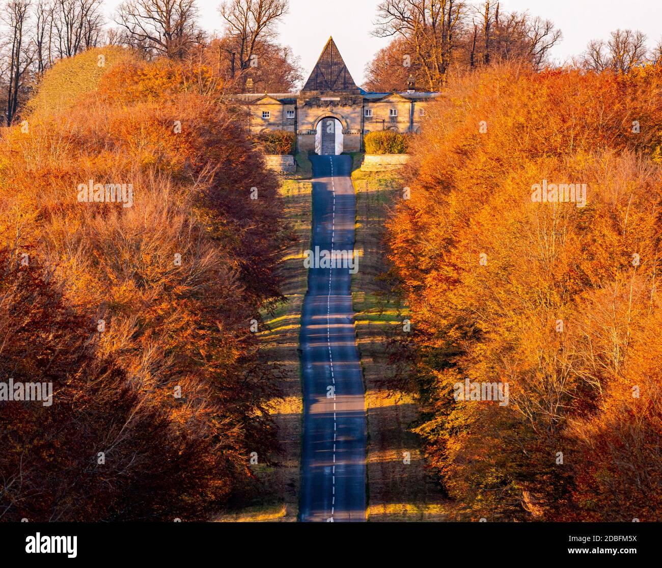The stray castle howard hi-res stock photography and images - Alamy