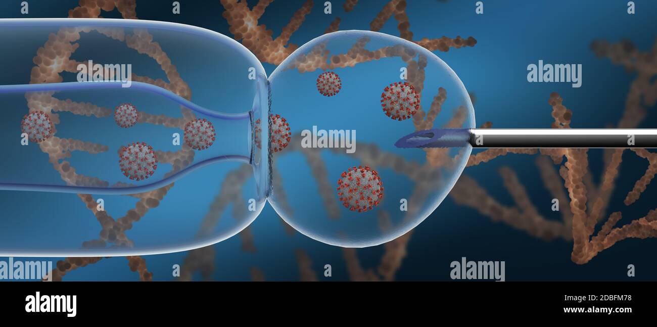 A pipette with a liquid bubble in which there are coronoviruses and a ...