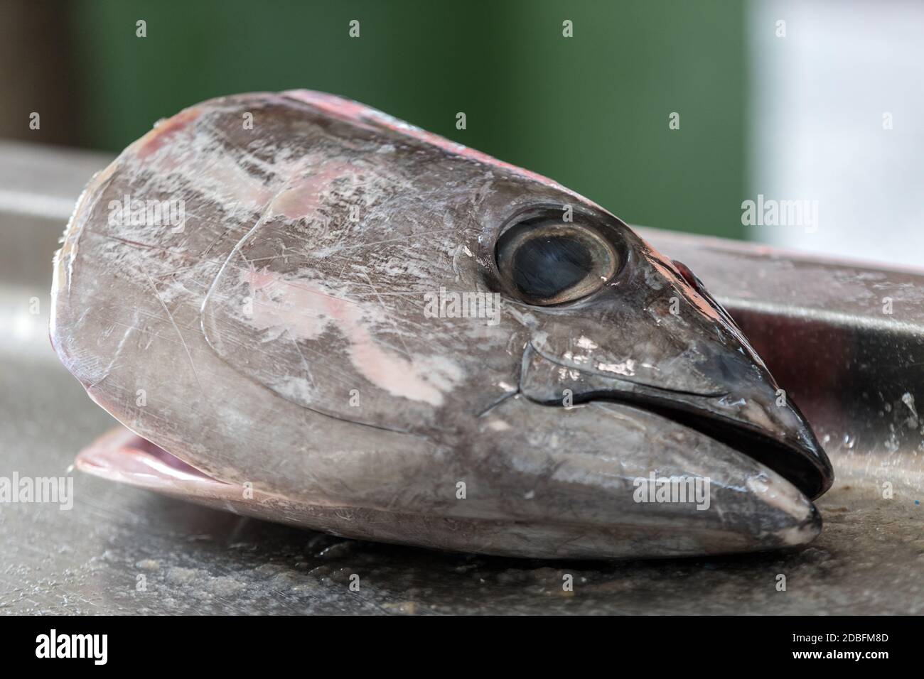 Silver scabbard fish hi-res stock photography and images - Alamy