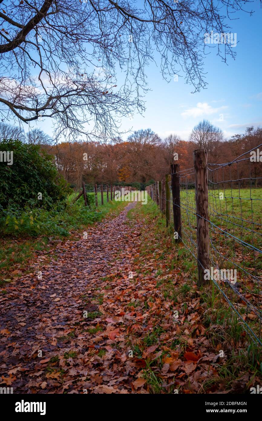Night scene promenade between hi-res stock photography and images - Alamy