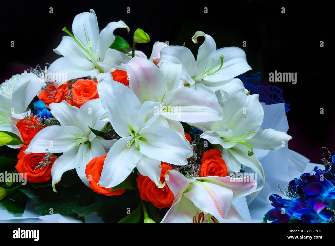 Flowers of bangladesh hi-res stock photography and images - Alamy