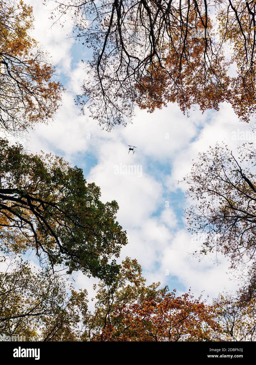 Flight over autumn forest hi-res stock photography and images - Alamy