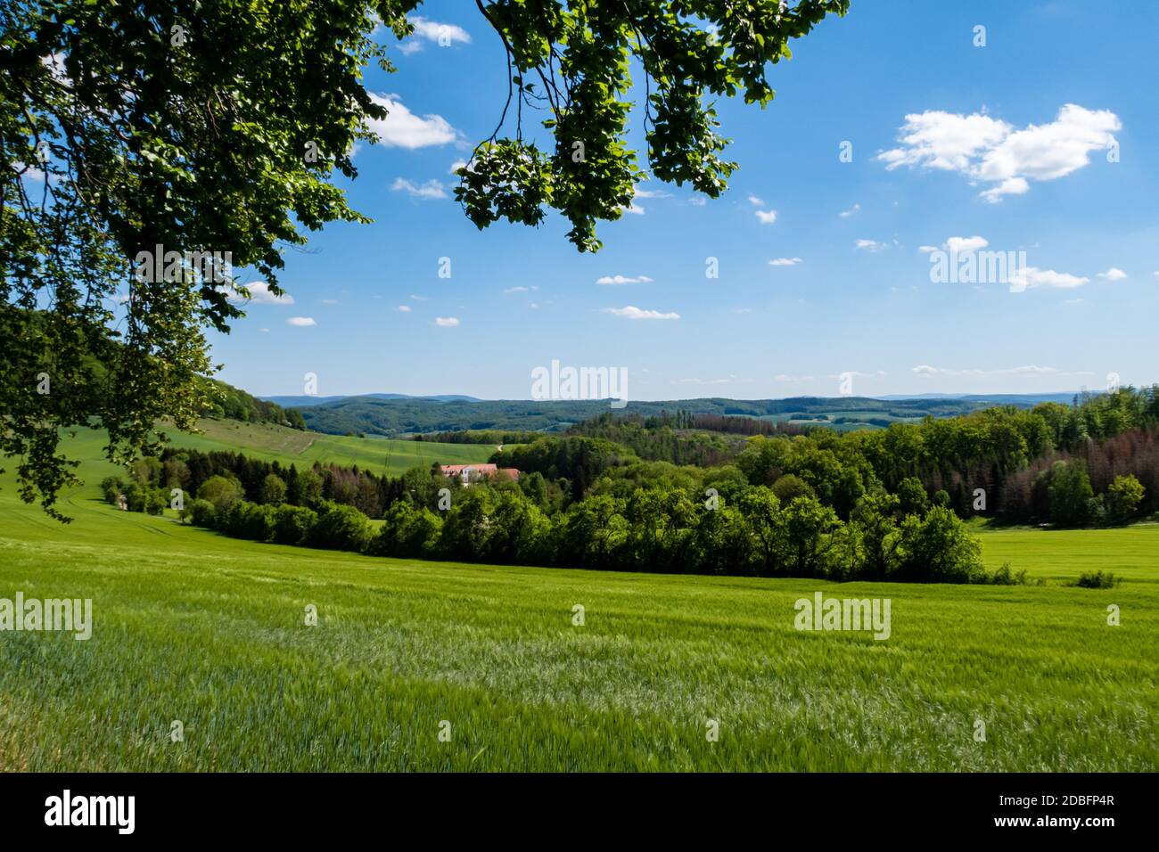 The Landscape of the Thuringia Forest in Germany Stock Photo - Alamy