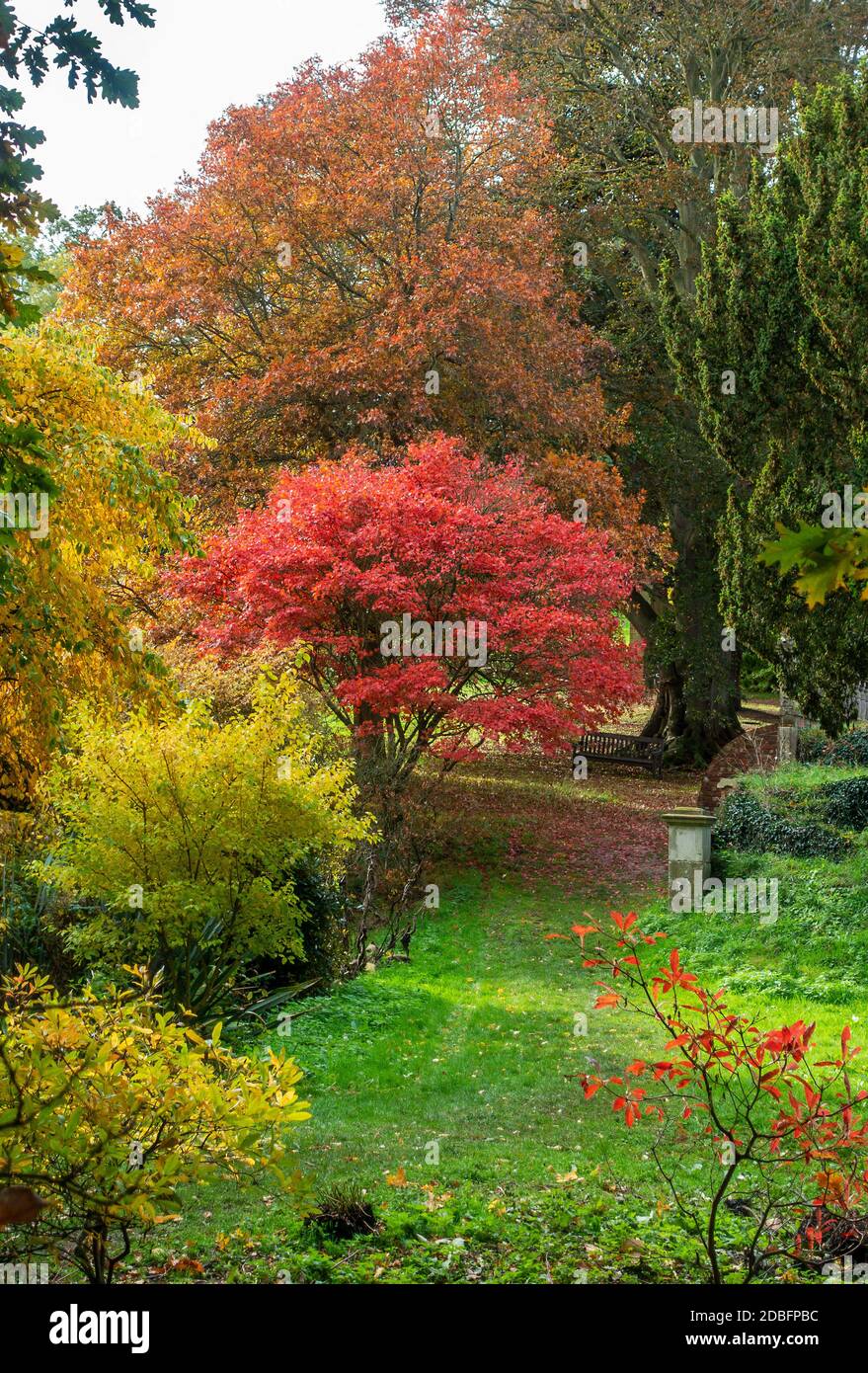 Autumn colours,Mount Ephraim Gardens,Faversham,Kent Stock Photo - Alamy