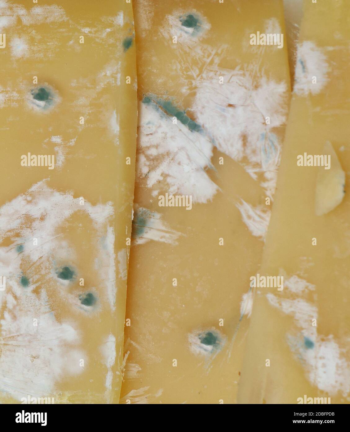 Spoiled hard cheese with green and white mold Stock Photo - Alamy