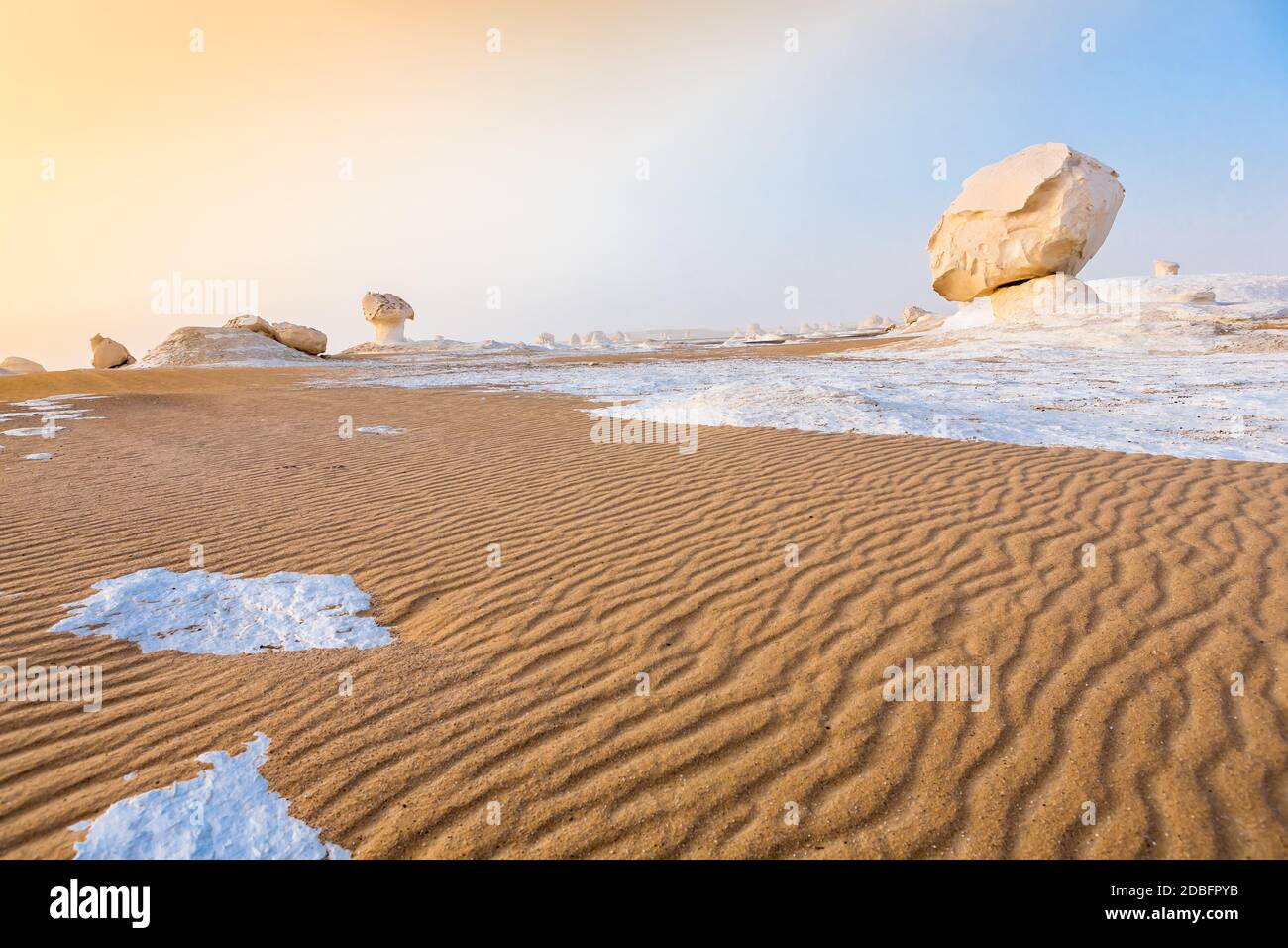 Africa safari park cairo hi-res stock photography and images - Alamy