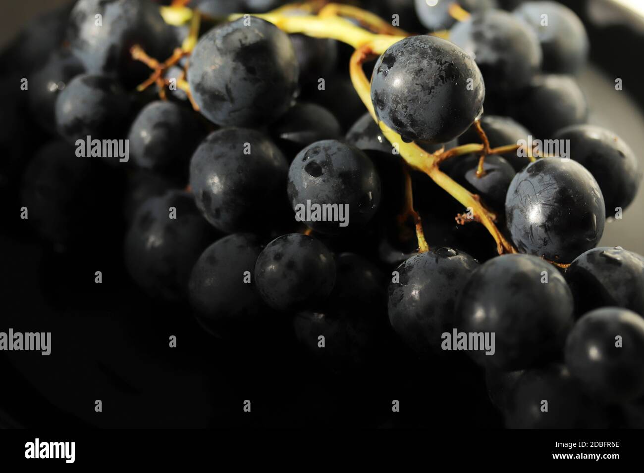 Fresh dark red grapes close up Stock Photo - Alamy