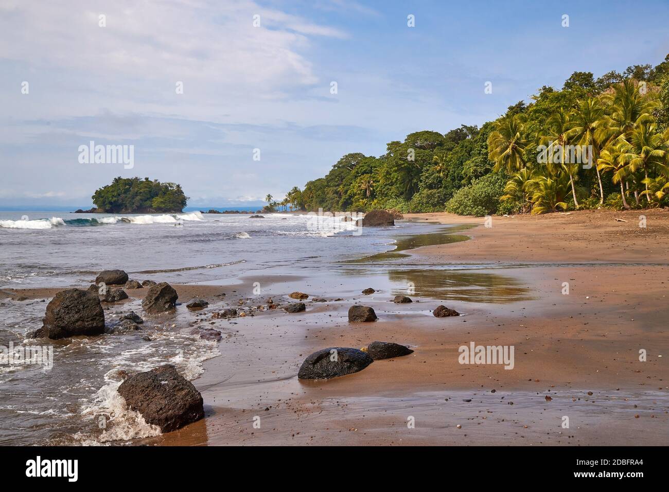 Palm trees and sandy beach on the Pacific Ocean shore in Choco ...