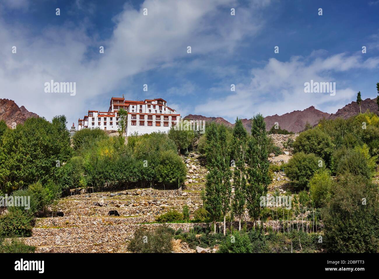 Likir gompa (Tibetan Buddhist monastery in Himalayas. Ladakh, India ...