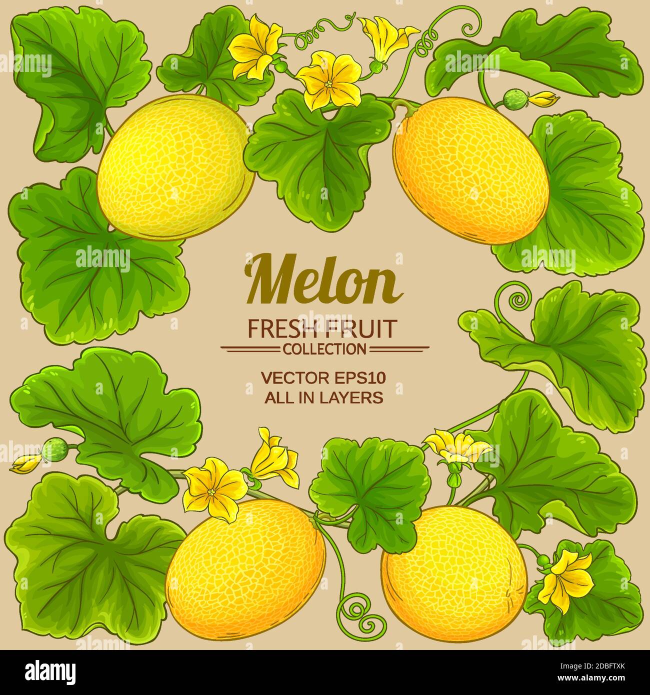 Fruit frame fresh organic Stock Vector Images - Alamy