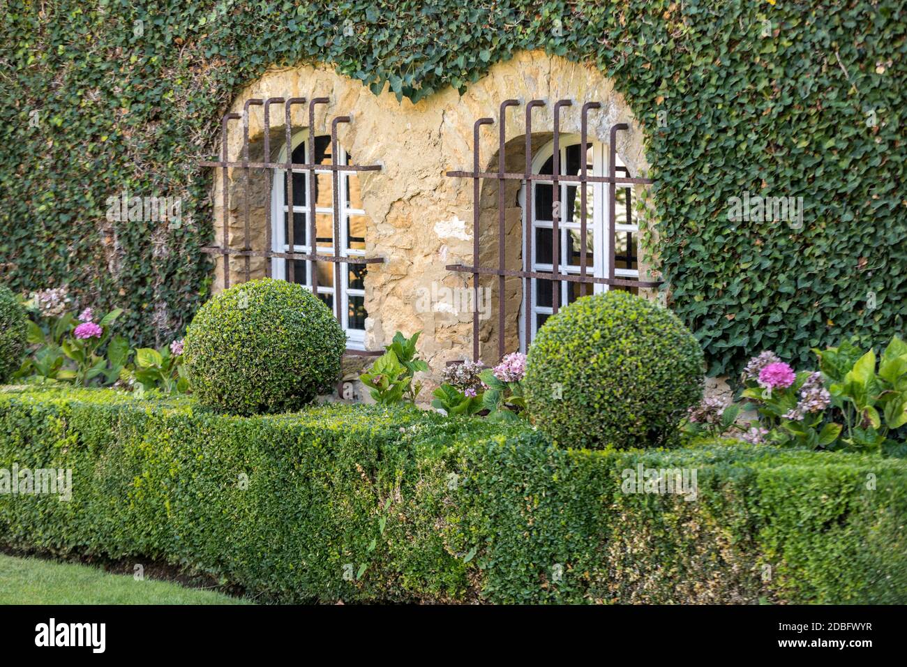 Manicured garden shrubs. Green garden balls in France Stock Photo - Alamy