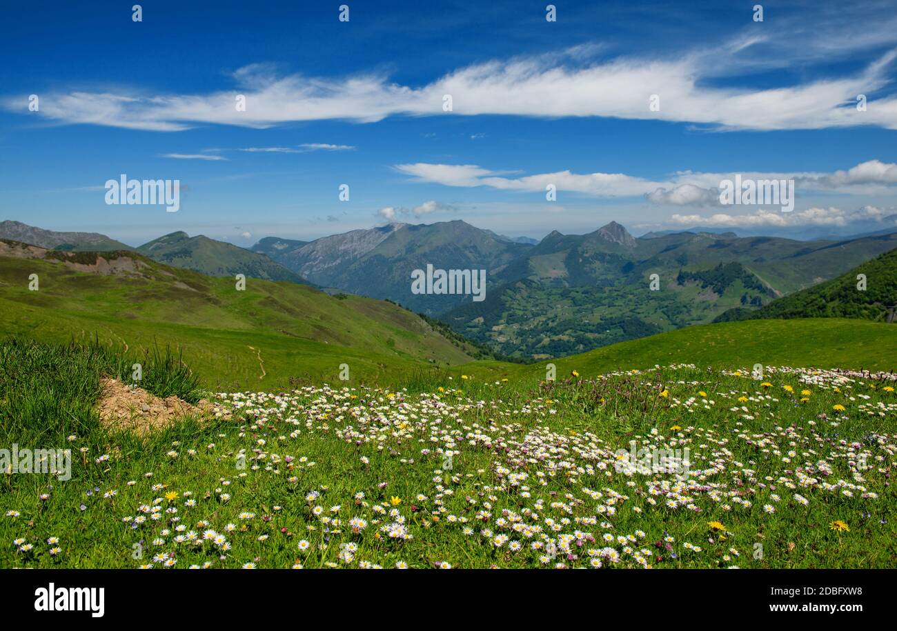 view of Col Aubisque in the French Pyrenees Stock Photo - Alamy