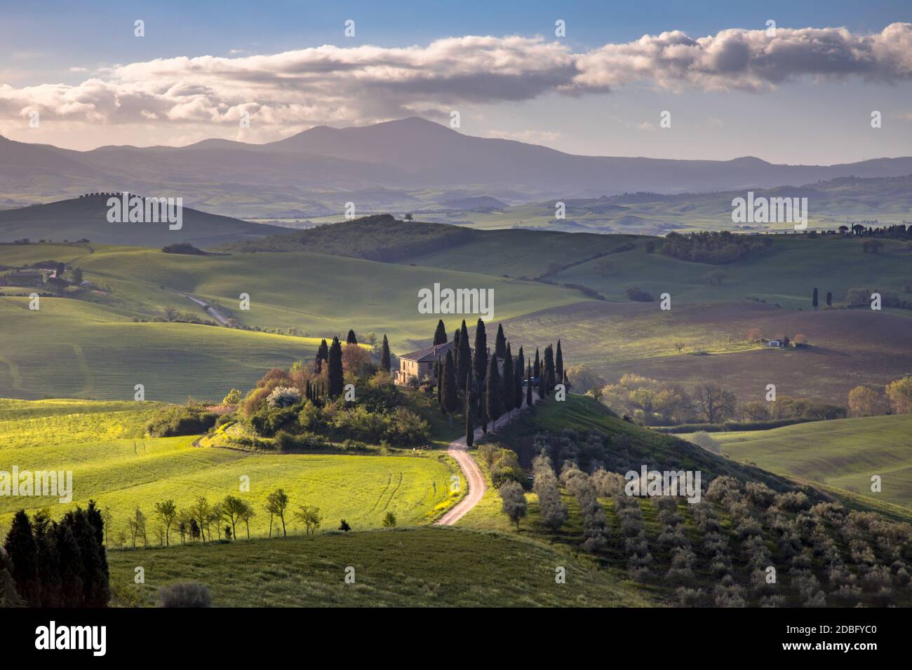 Tuscan countryside near San Quirico d'Orcia on foggy early morning ...