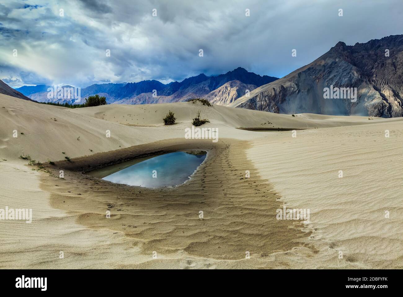 Sand dunes in Himalayan desert near Hunder village. Himalayas, Nubra ...