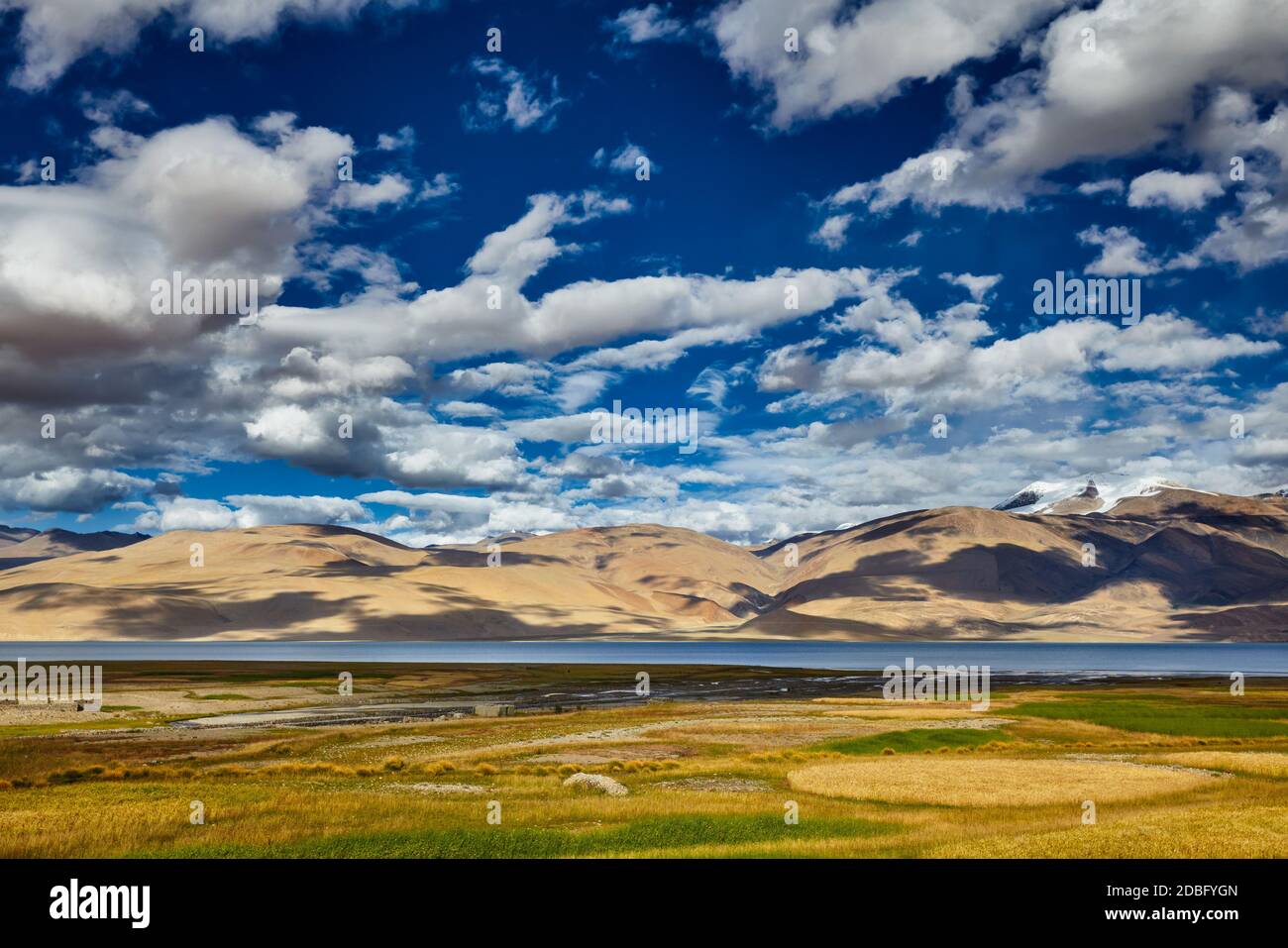 Himalayan lake Tso Moriri (fficial name: Tsomoriri Wetland Conservation ...