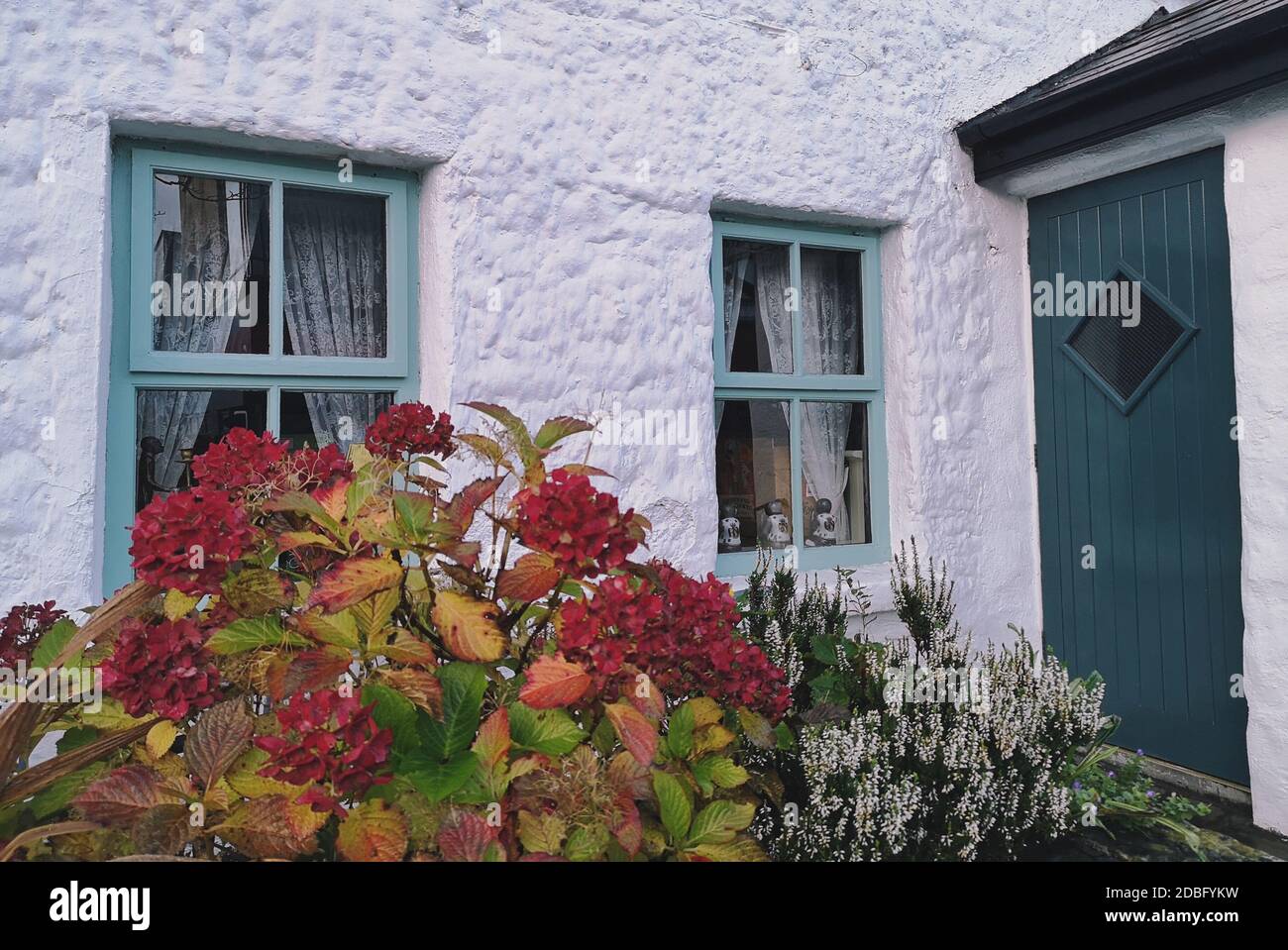 Irish Cottage Garden High Resolution Stock Photography and Images - Alamy